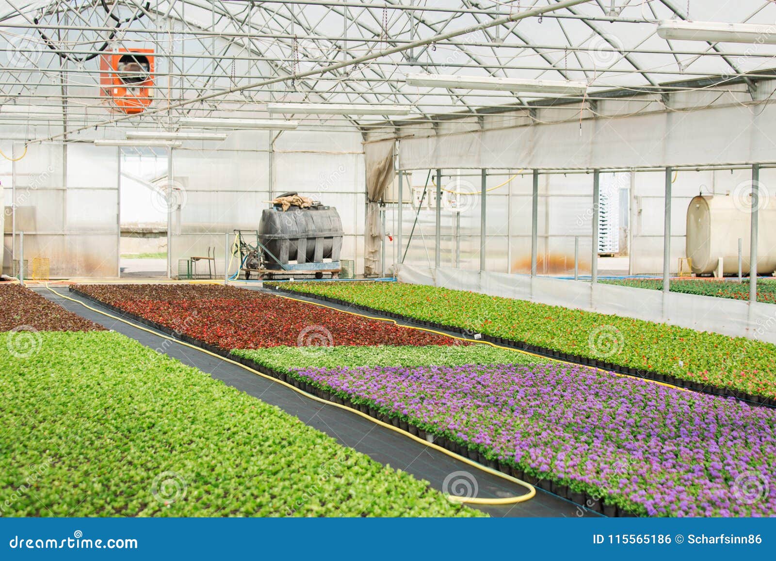 Estufa Com Controle Do Microclima Foto de Stock - Imagem de sistema ...