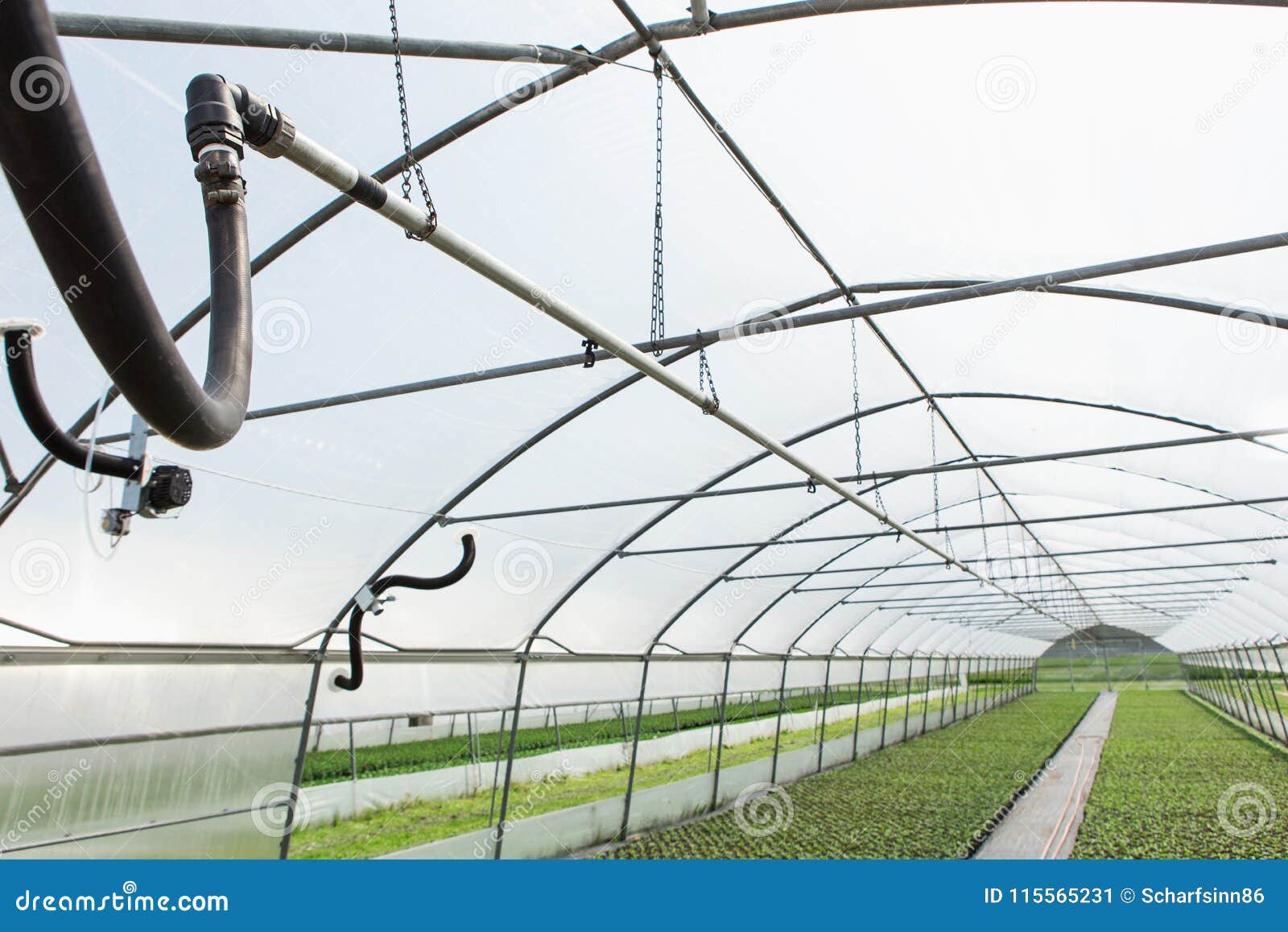 Estufa Com Controle Do Microclima Imagem de Stock - Imagem de fazenda ...