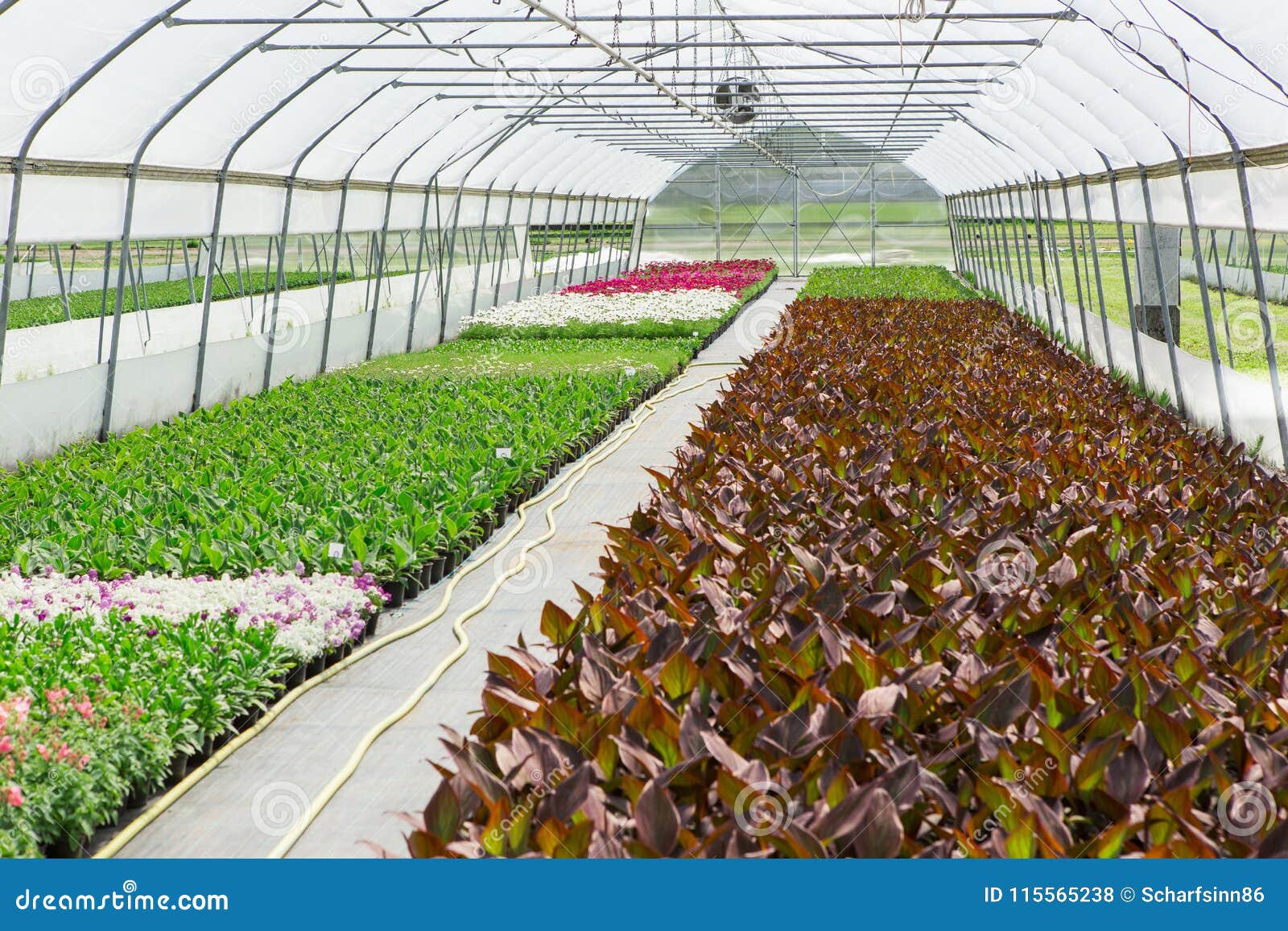 Estufa Com Controle Do Microclima Foto de Stock - Imagem de jardinar ...