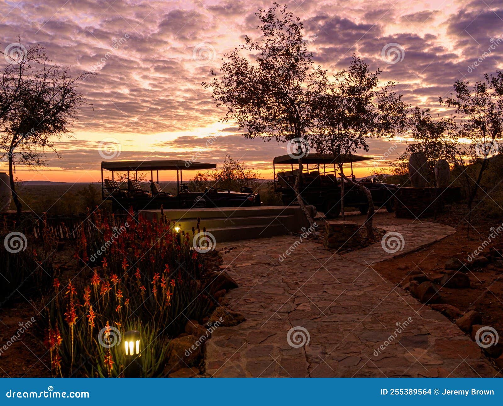 Etali Safari Lodge. Game Drive in Madikwe Game Reserve, South Africa ... Etali Safari Lodge. Game Drive in Madikwe Game Reserve, South Africa ...