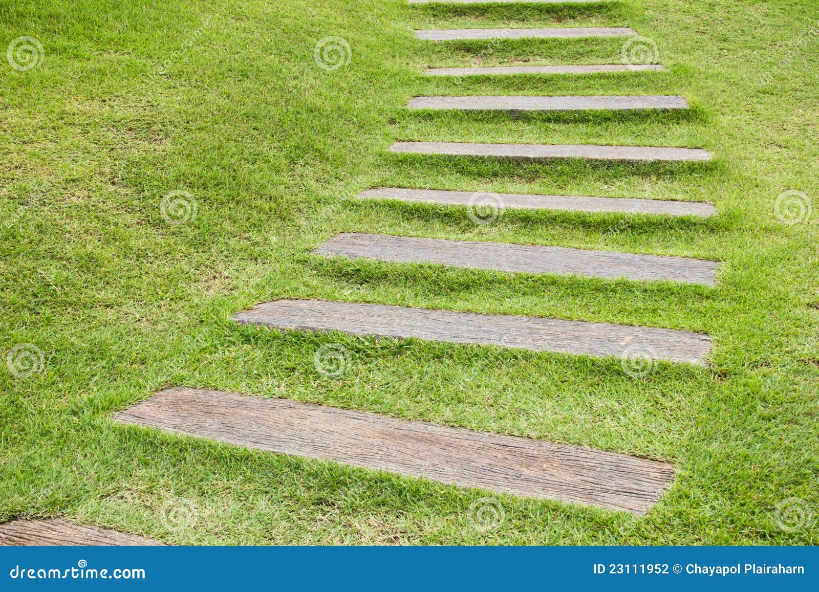 Etapa de madeira na grama. foto de stock. Imagem de paisagem - 23111952