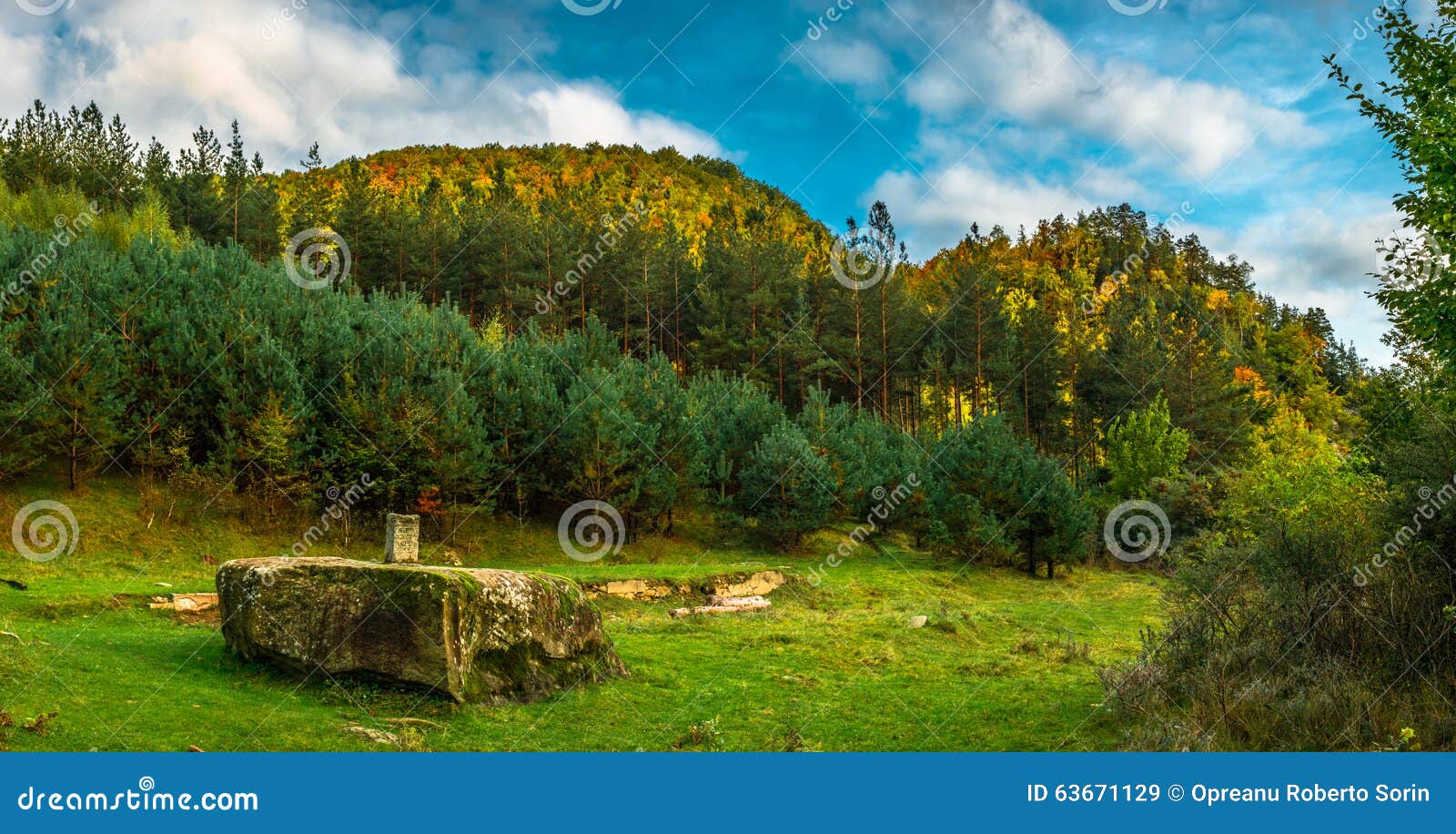 Etapas de colores imagen de archivo. Imagen de pino, bosque - 63671129