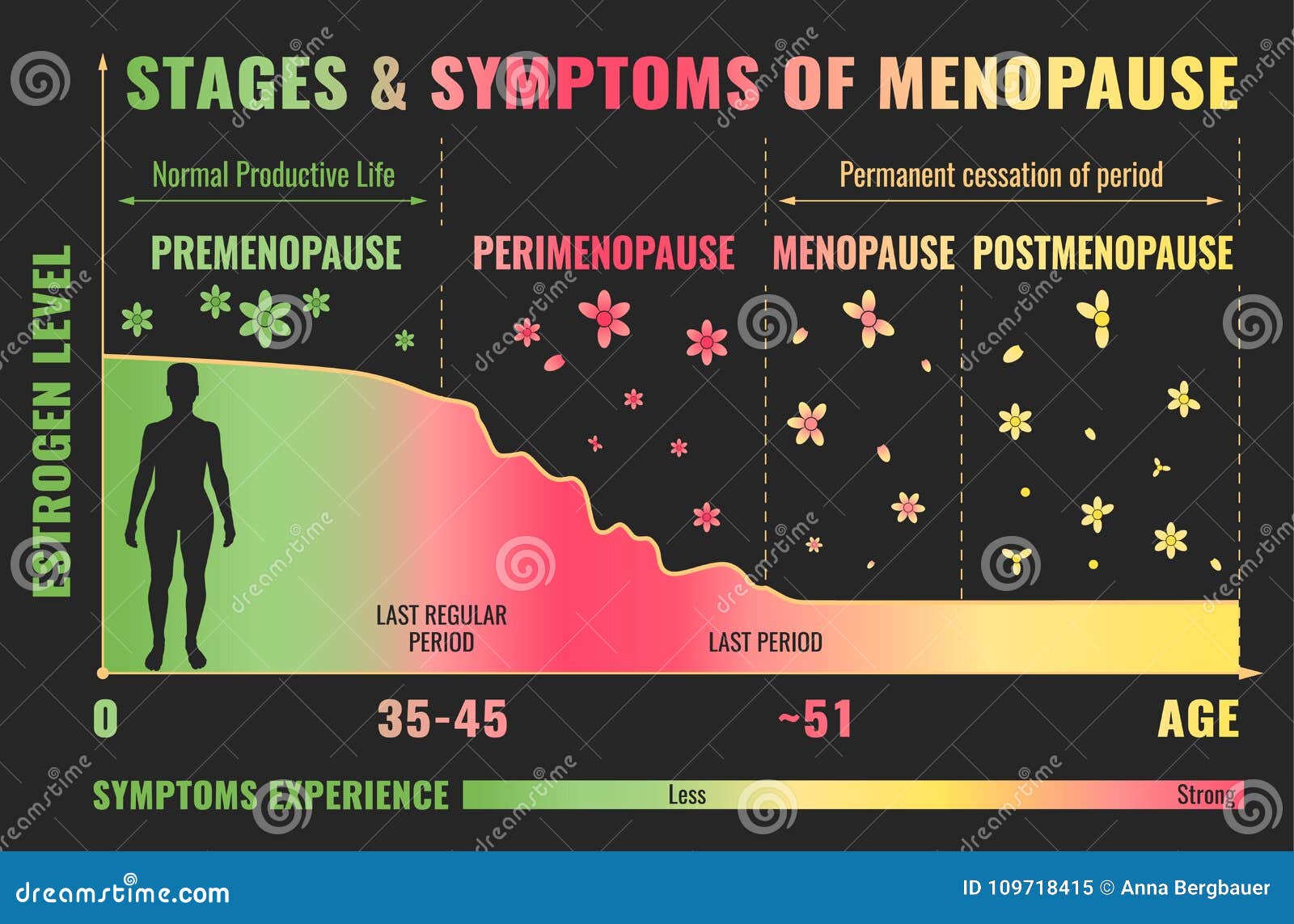 Etapas De La Menopausia Infographic Ilustración Del Vector