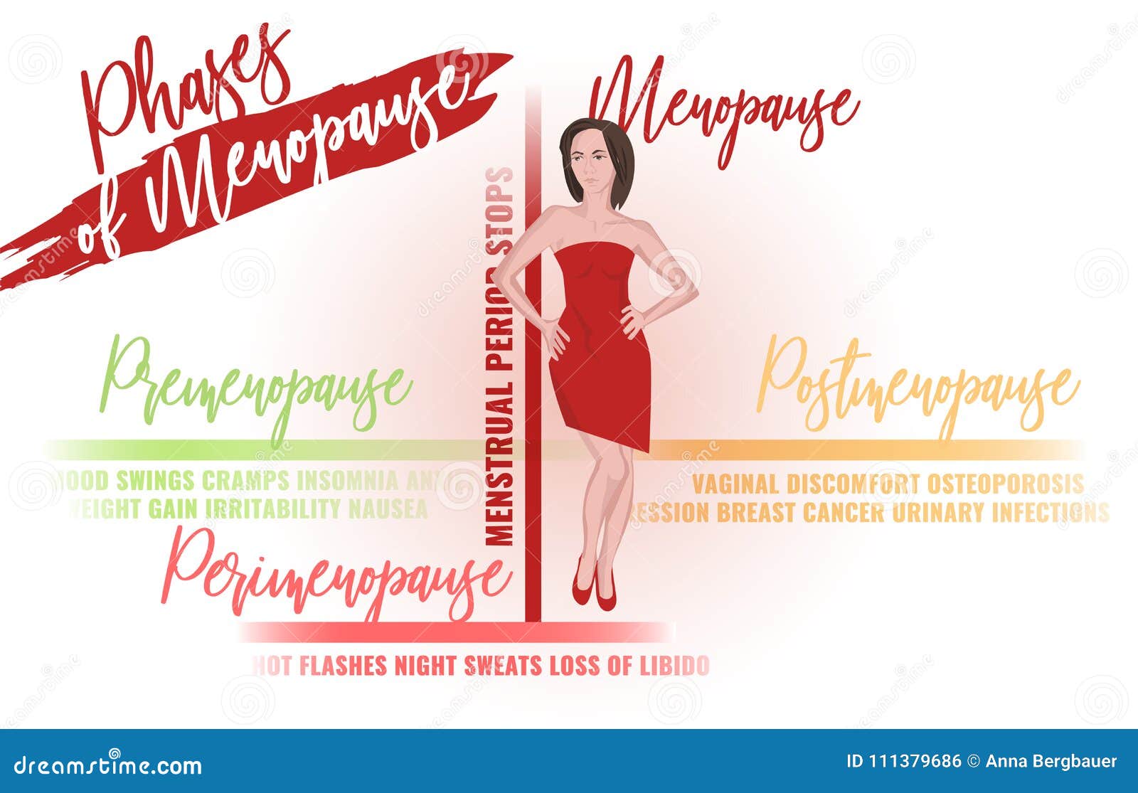 Etapas De La Menopausia Infographic Ilustración Del Vector