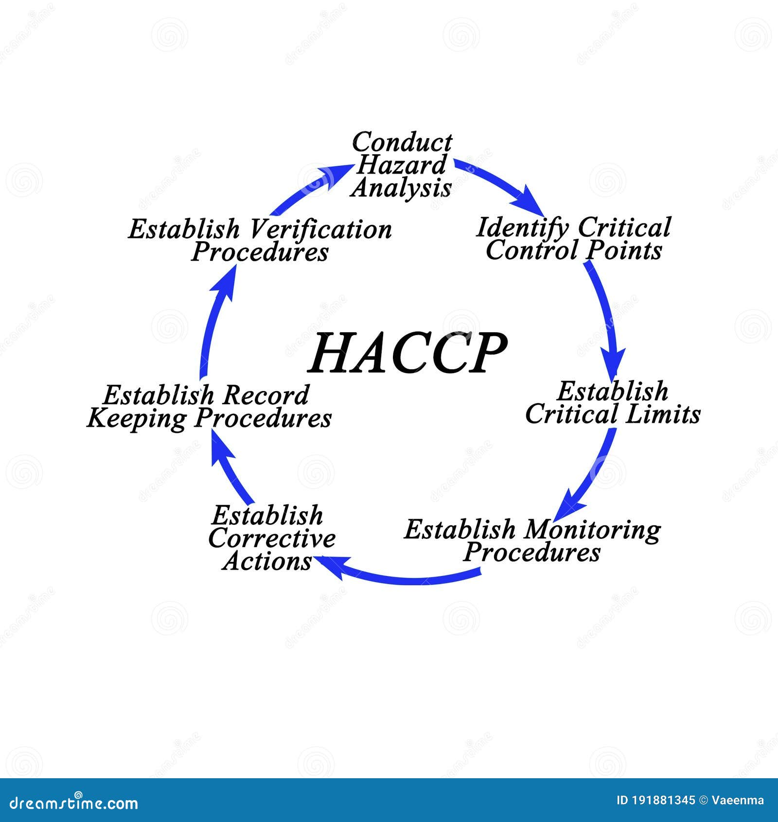 Etapas Do Ciclo De Implementação Do Haccp Imagem de Stock - Imagem de ...