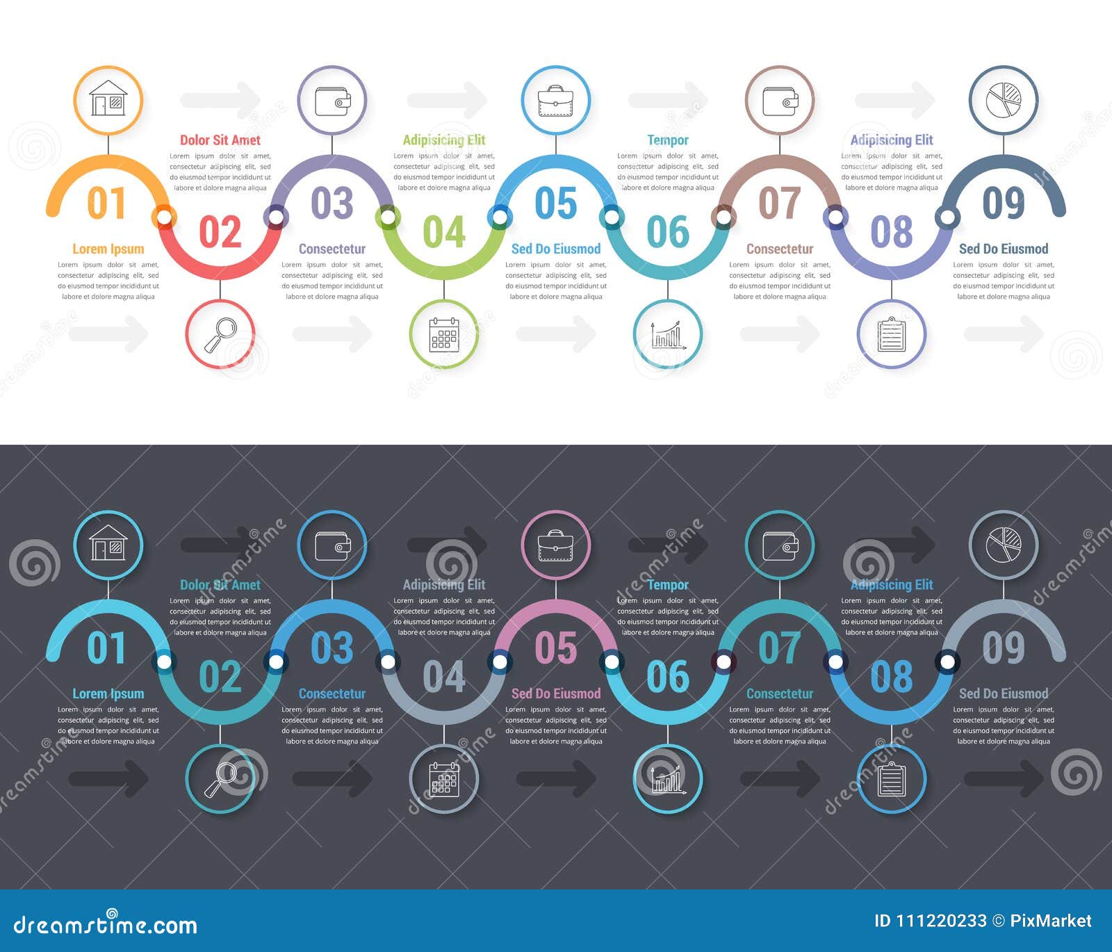 9 etapas Infographics ilustração do vetor. Ilustração de planta - 111220233