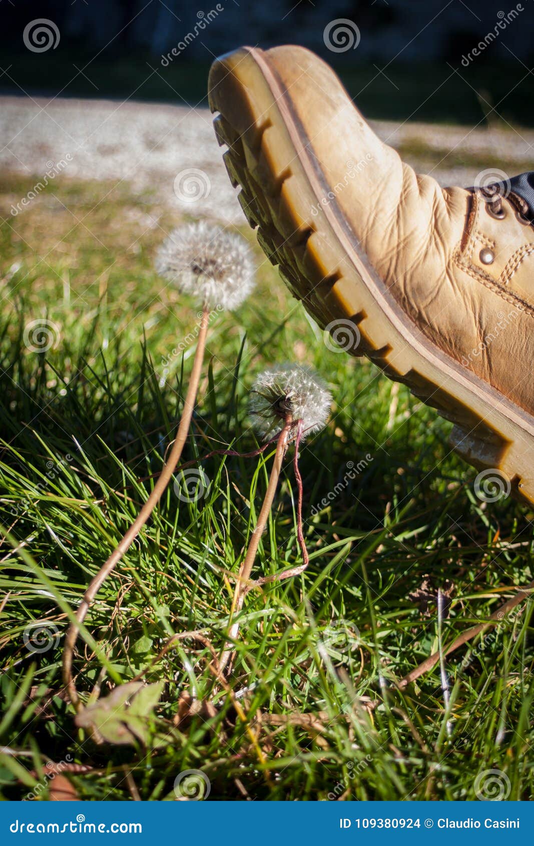 388 Man Vs Nature Photos - Free & Royalty-Free Stock Photos from Dreamstime