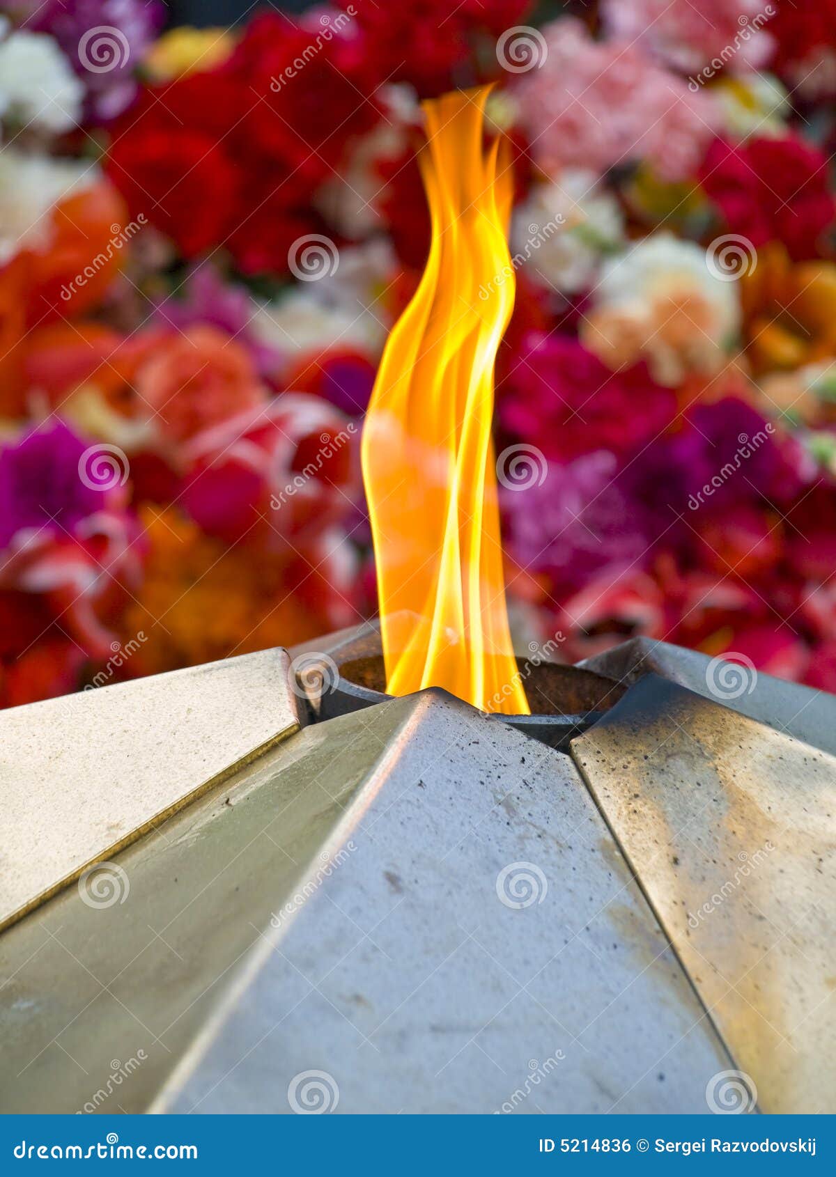 Eternal light stock photo. Image of flower, eternity, fire - 5214836