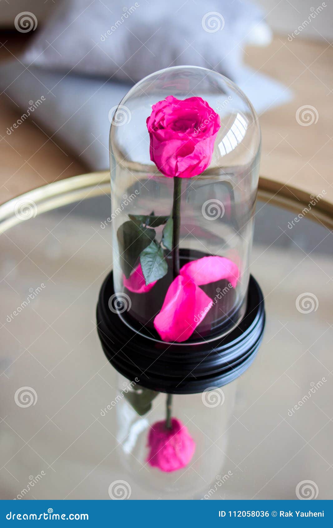 Pink Rose in a Flask. Long-lasting Rose Stock Photo - Image of flask ...