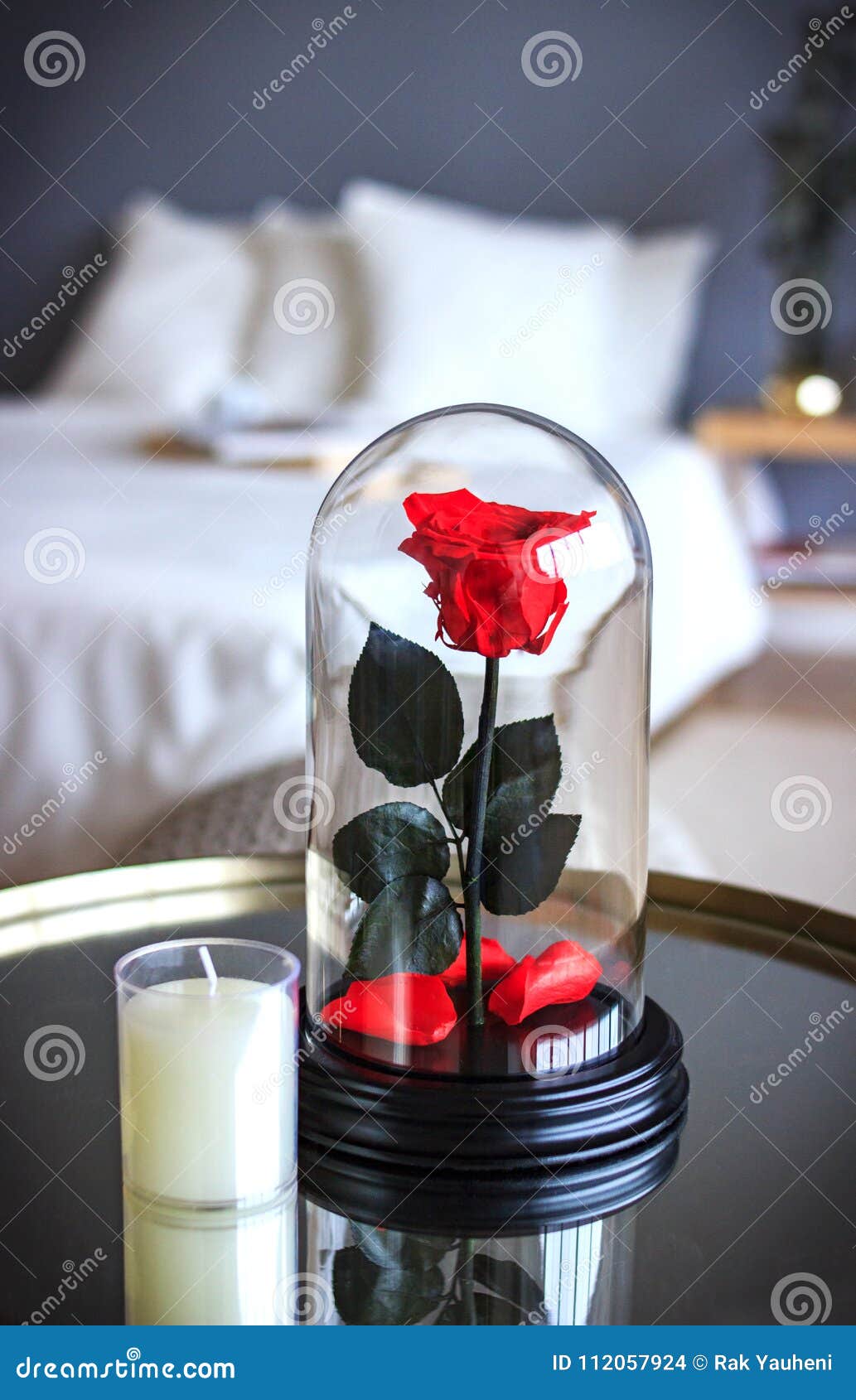 Red Rose in a Flask. Long-lasting Rose Stock Photo - Image of ...