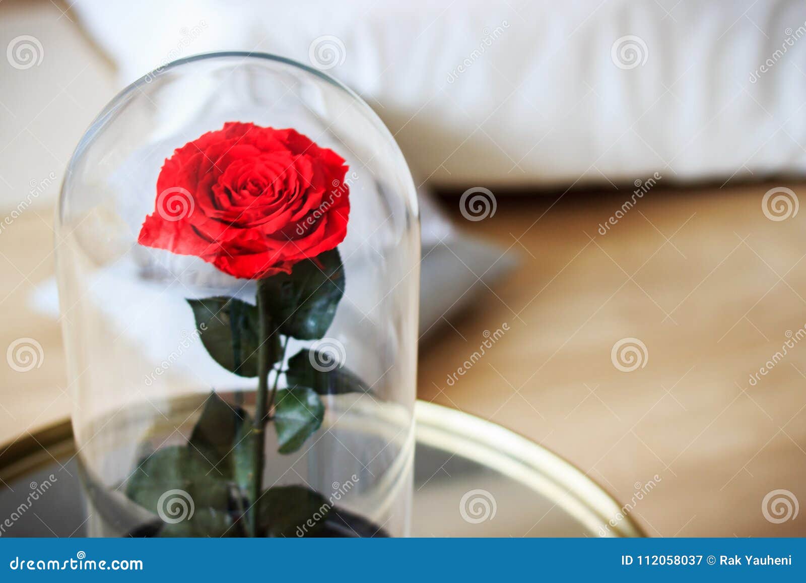 Red Rose in a Flask. Long-lasting Rose Stock Image - Image of glass ...