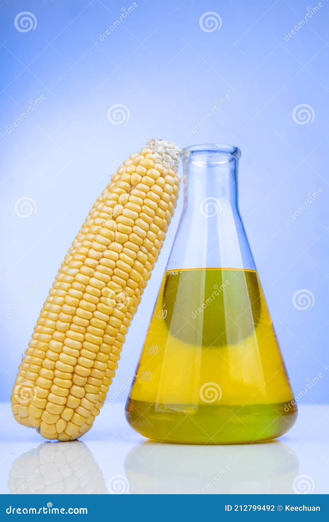 Ethanol Biofuel Derived from Corn Maze with Beaker in Laboratory Stock ...