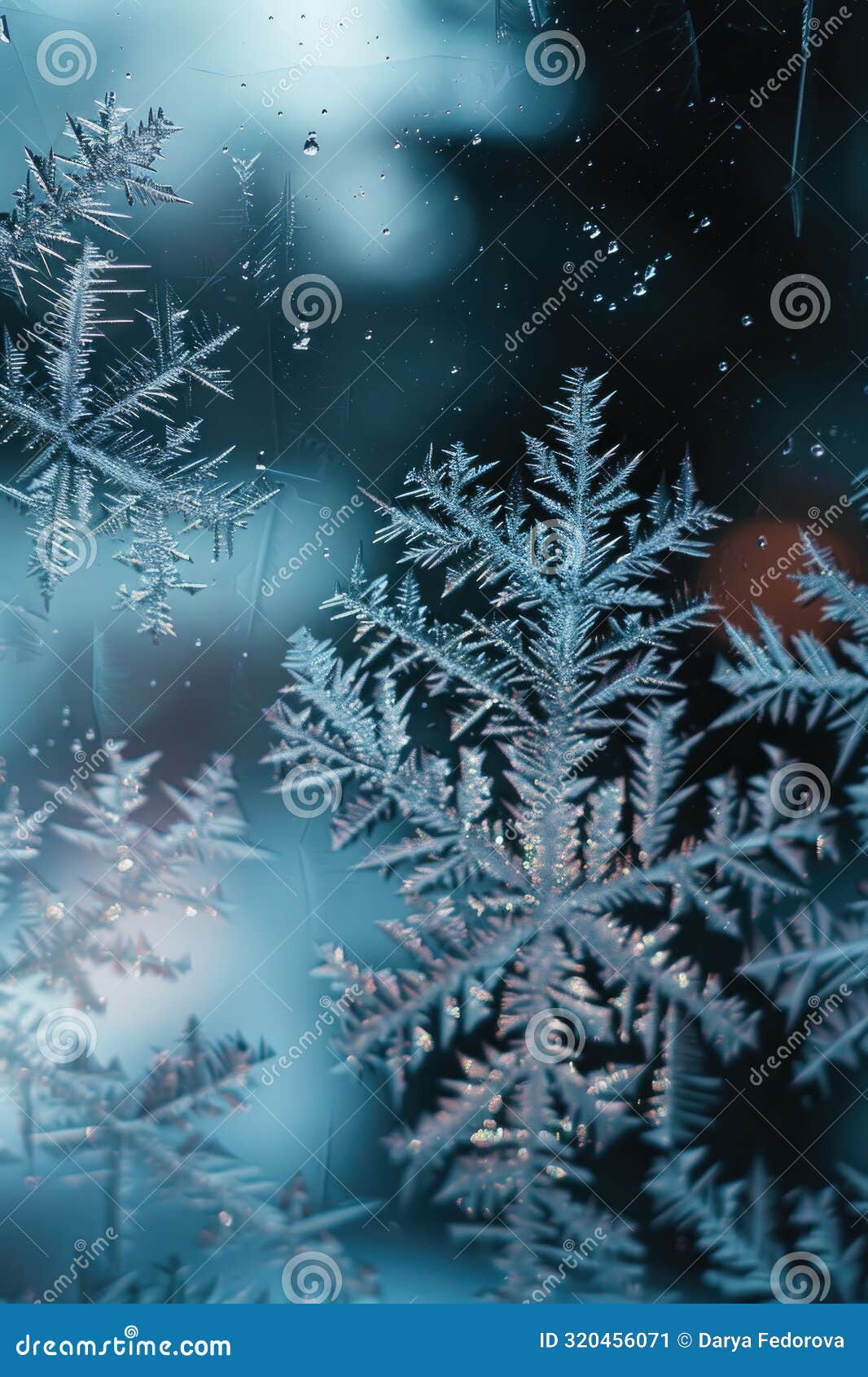 Ethereal Frost Patterns on Winter Windowpane Stock Image - Image of ...