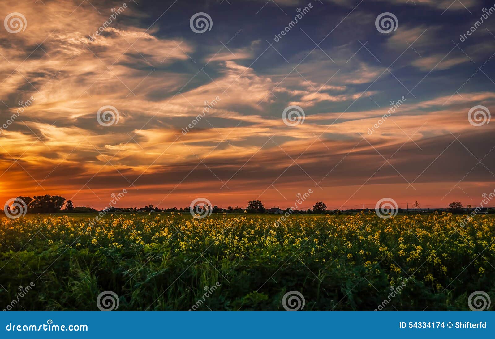 Ethereal Sky stock photo. Image of springtime, grass - 54334174