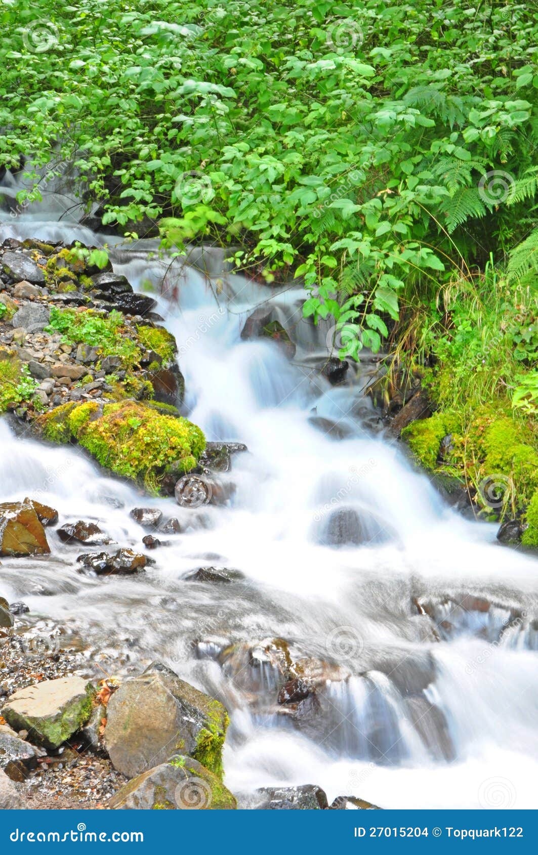 Ethereal stream stock photo. Image of forest, mount, river - 27015204