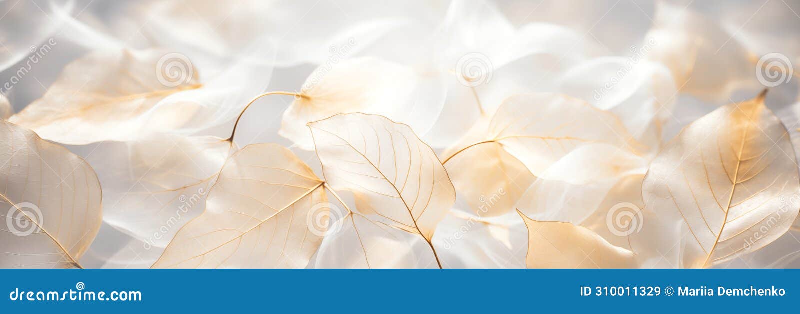 Ethereal White Leaves With Delicate Veins Background Banner. Panoramic ...