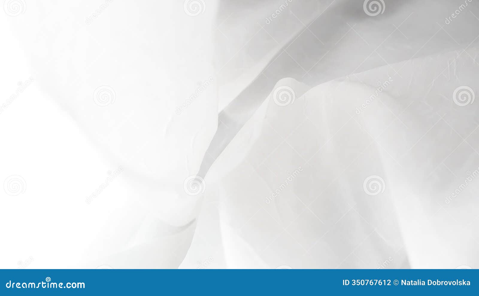Ethereal White Leaves With Delicate Veins Background Banner. Panoramic ...