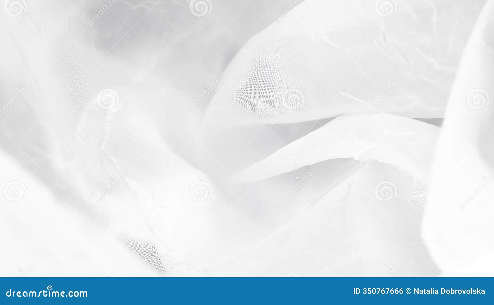 Ethereal White Leaves With Delicate Veins Background Banner. Panoramic ...