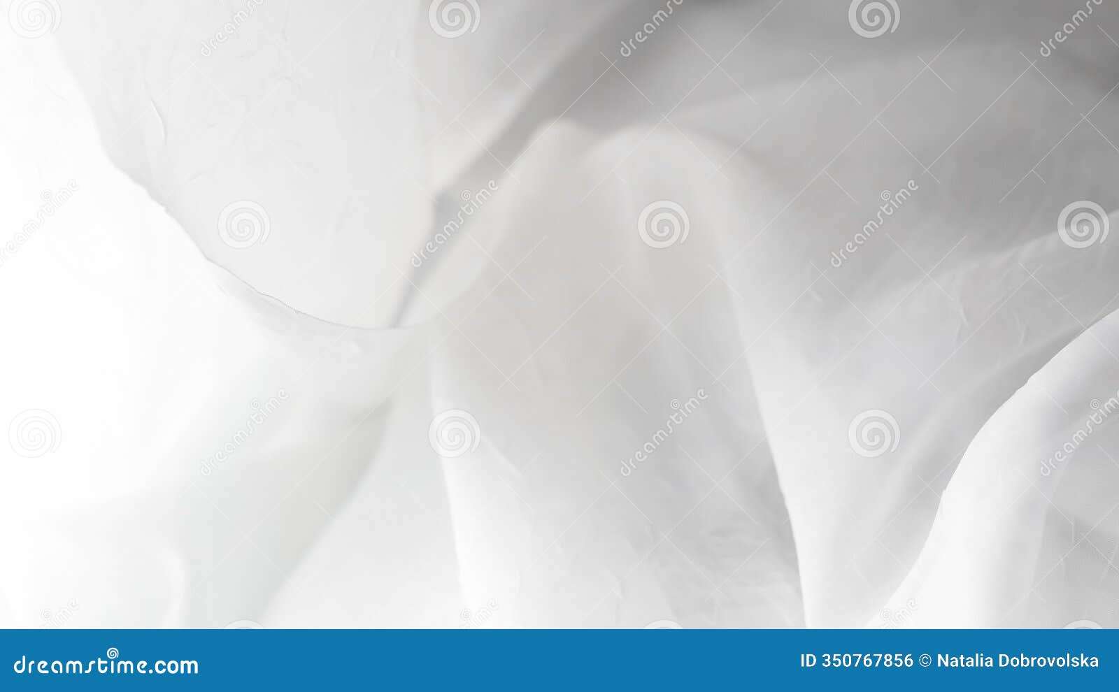 Ethereal White Leaves With Delicate Veins Background Banner. Panoramic ...