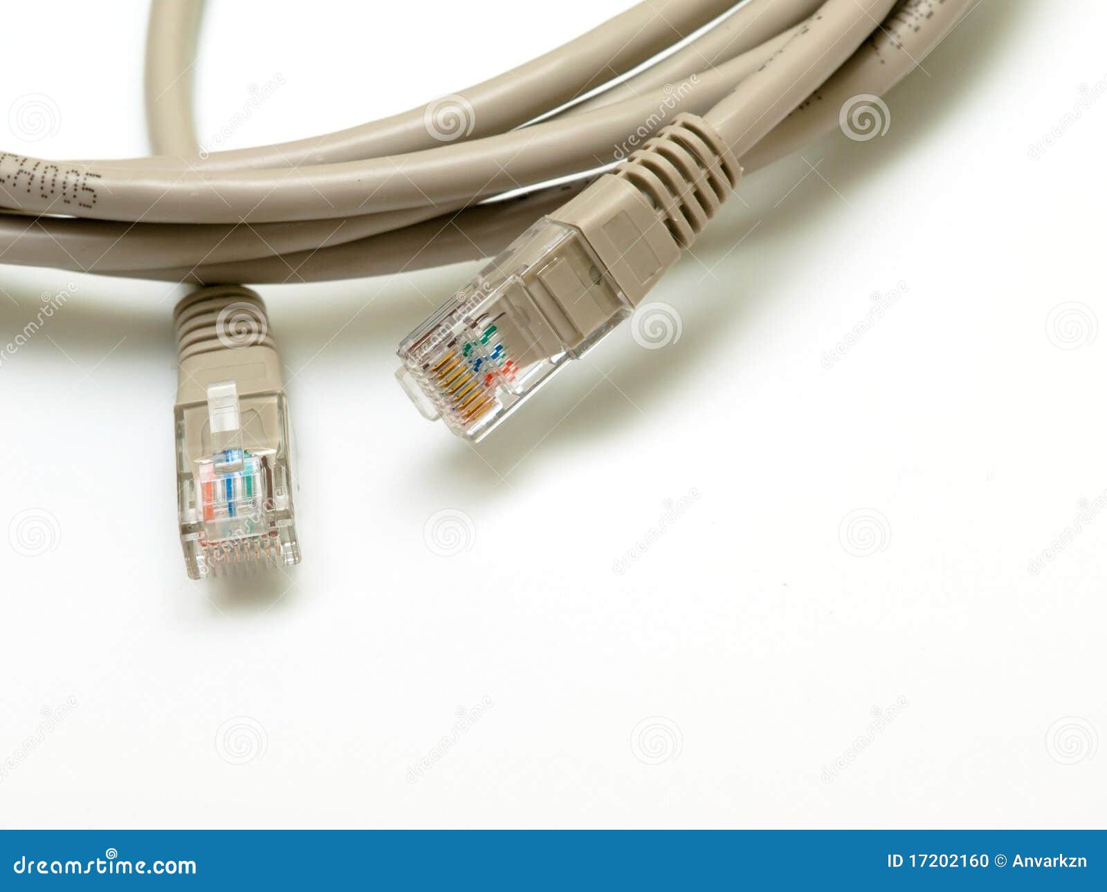 Ethernet Cable stock photo. Image of network, blue, patch - 17202160