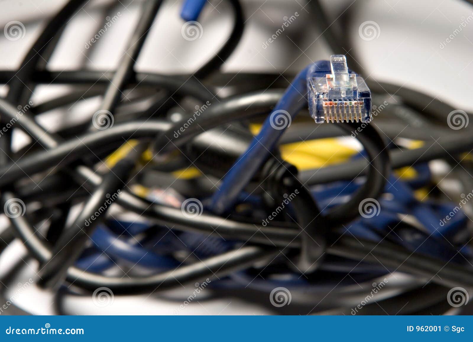 Ethernet cable (4) stock image. Image of snake, communicate - 962001