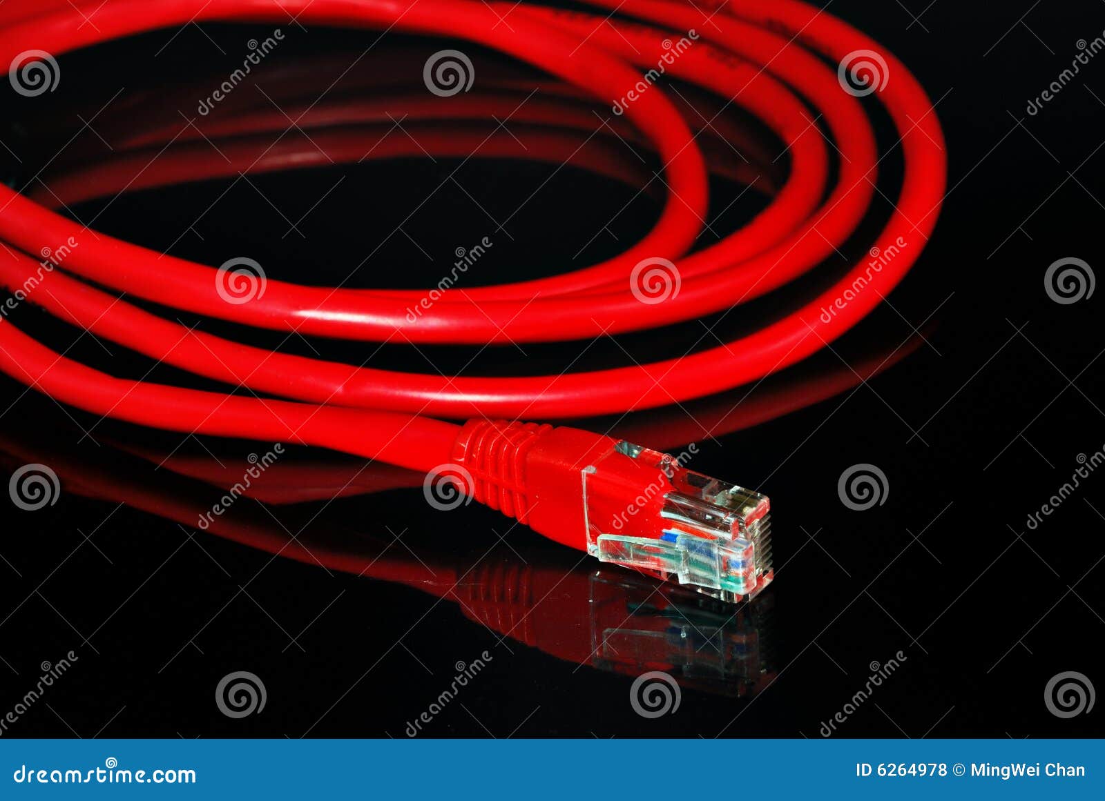 1,090 Cable Shoot Stock Photos - Free & Royalty-Free Stock Photos from ...