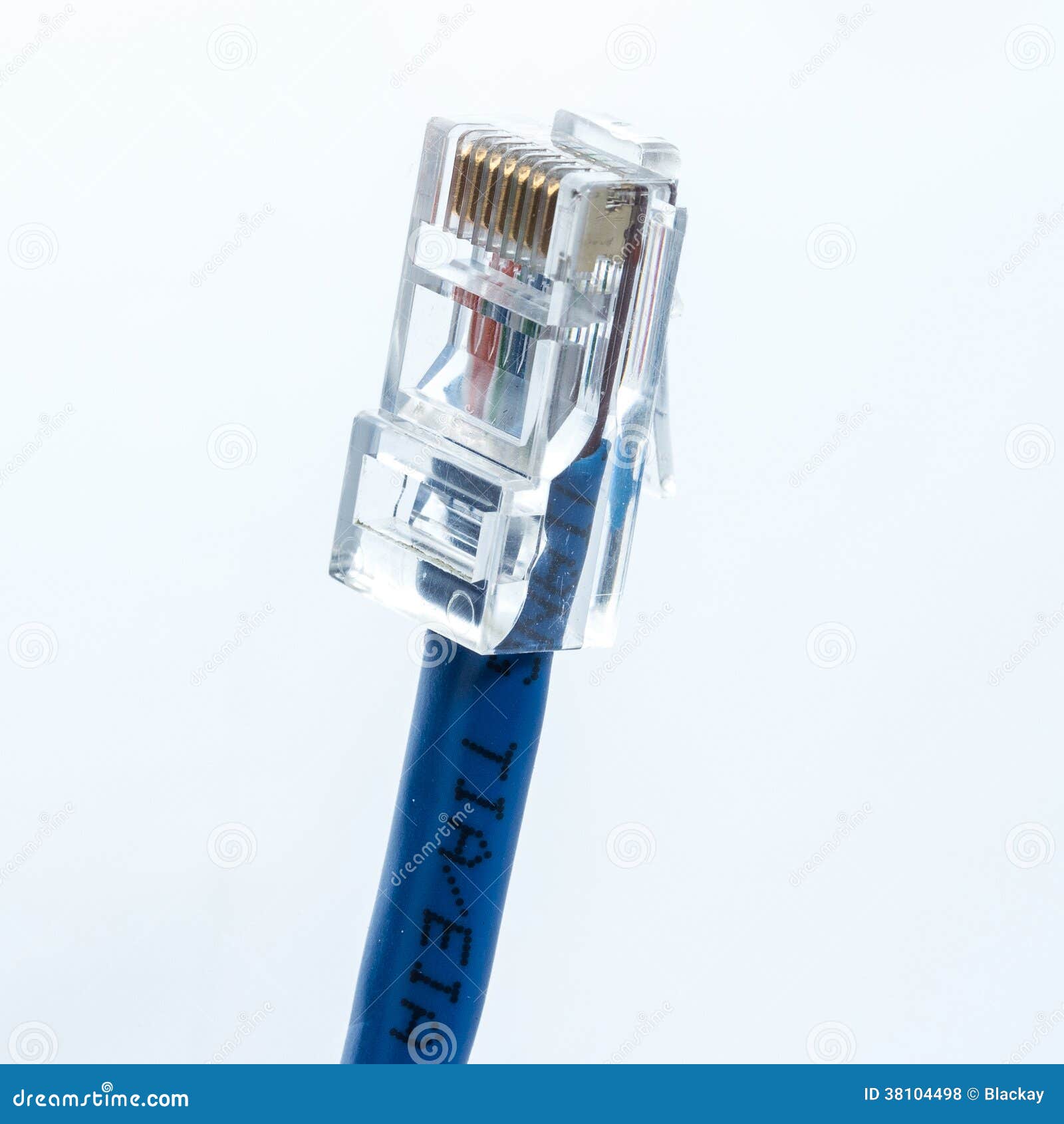 Ethernet cable stock photo. Image of connection, cord - 38104498