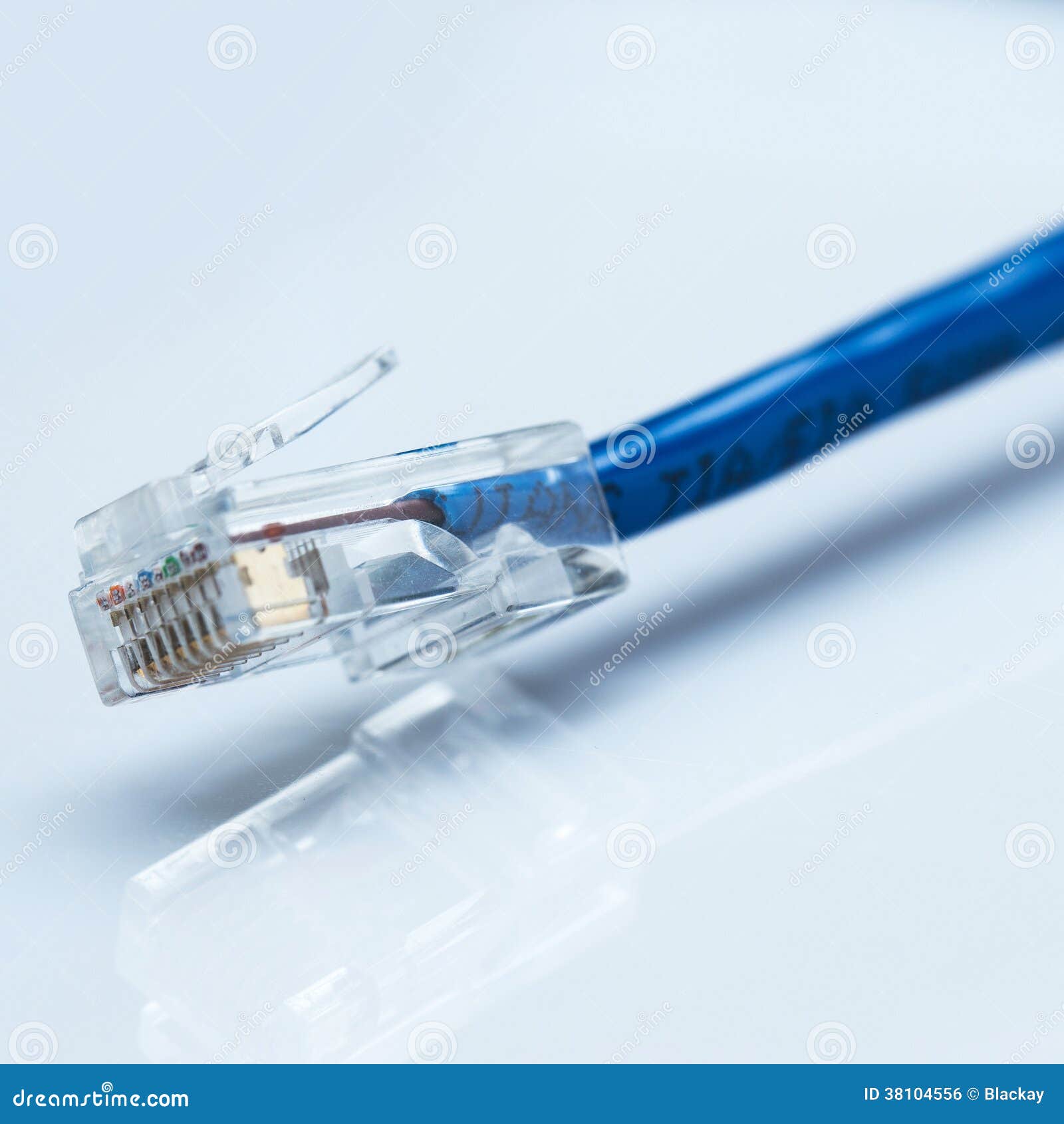 Ethernet cable stock photo. Image of data, communication - 38104556