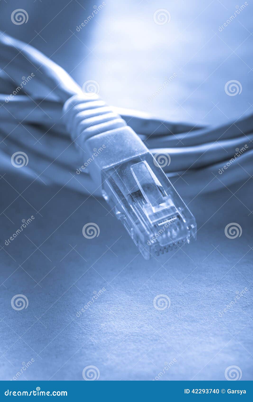 Ethernet Cable for Computer Stock Photo - Image of digital, technology ...