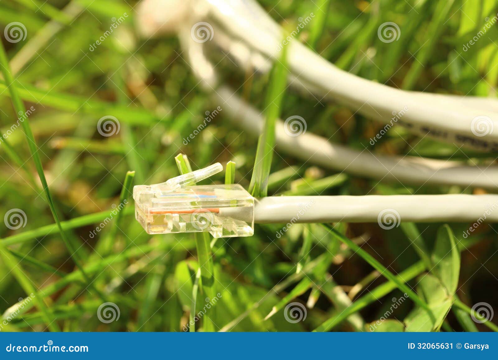 Ethernet cable on grass stock image. Image of line, equipment - 32065631