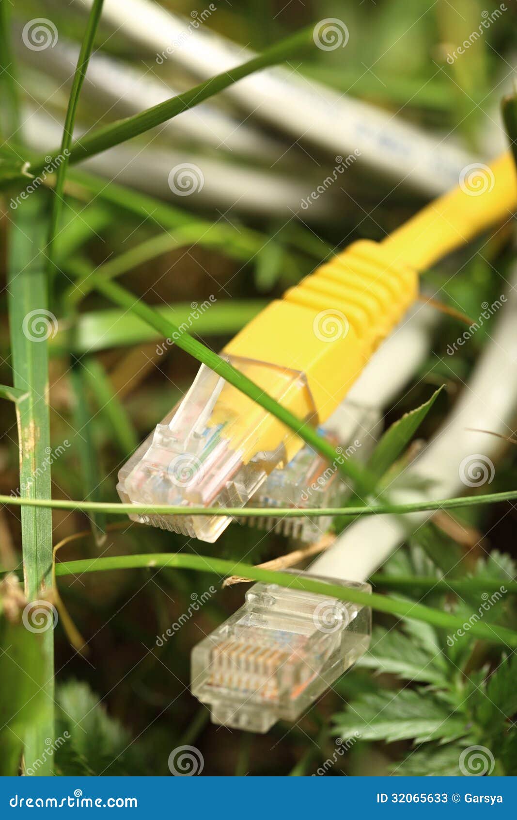 Ethernet cable on grass stock image. Image of computer - 32065633