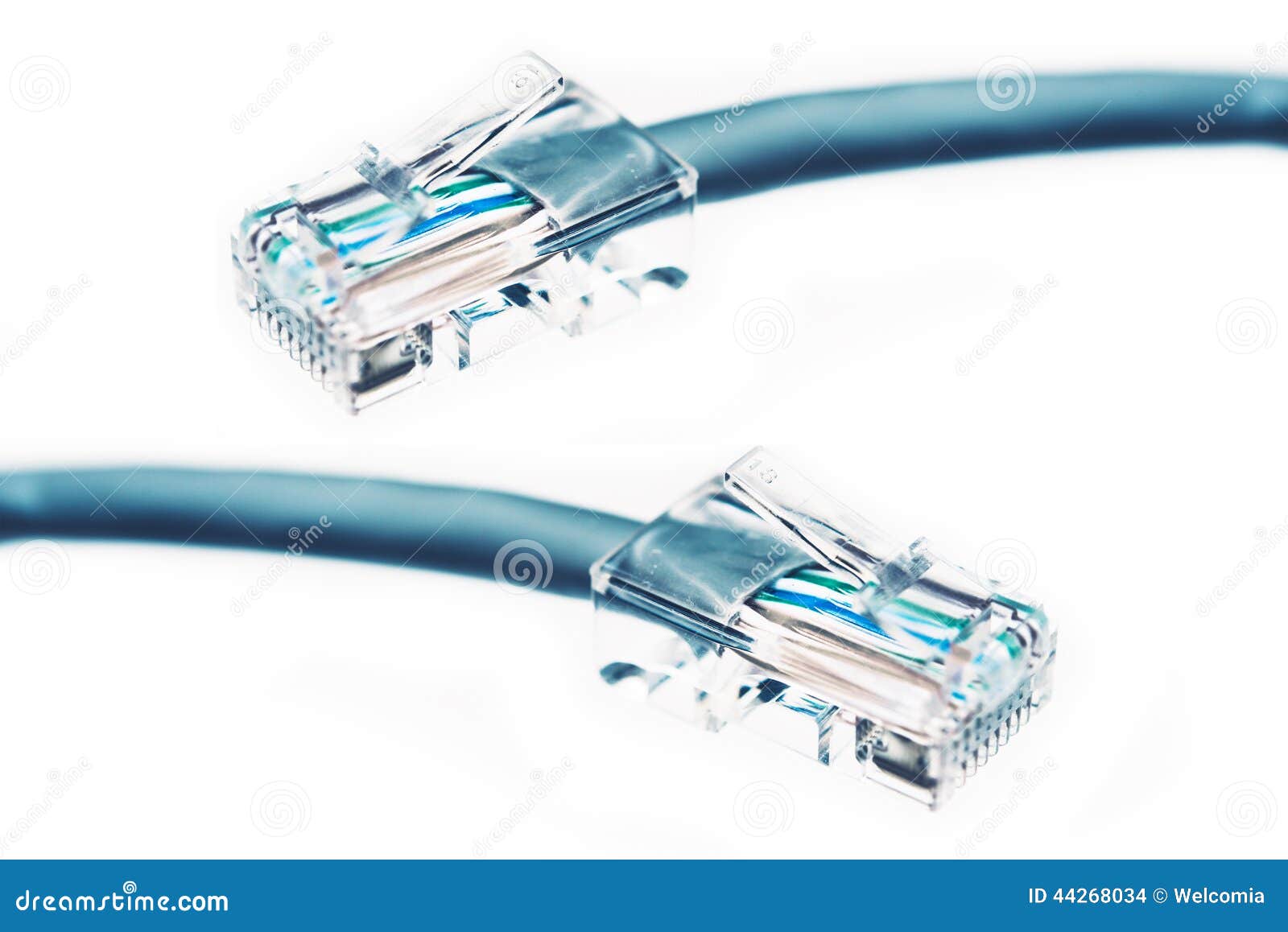 Ethernet Cable Isolated stock photo. Image of technology - 44268034