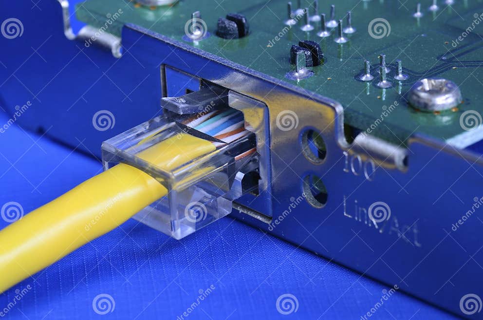 Ethernet Cable on the Network Card Stock Photo - Image of signal ...