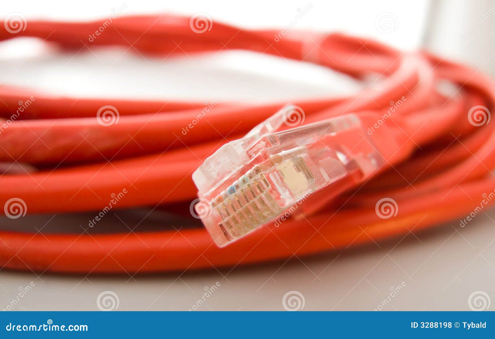 Ethernet Cable & Plug stock photo. Image of router - 3288198