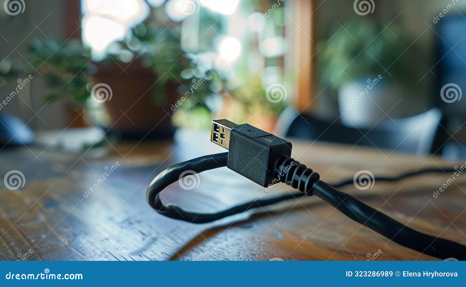 Ethernet Cable Plug with Blue Light, Close-up on a Wooden Surface ...