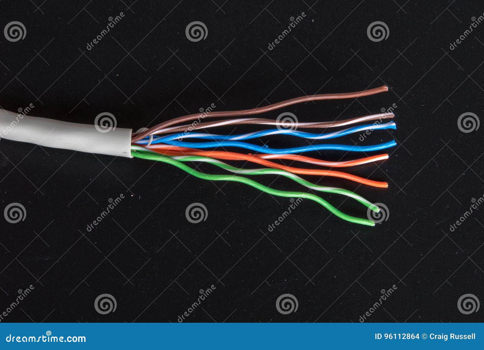 Stripped Ethernet Cable With Twisted Wires Royalty-Free Stock Photo ...
