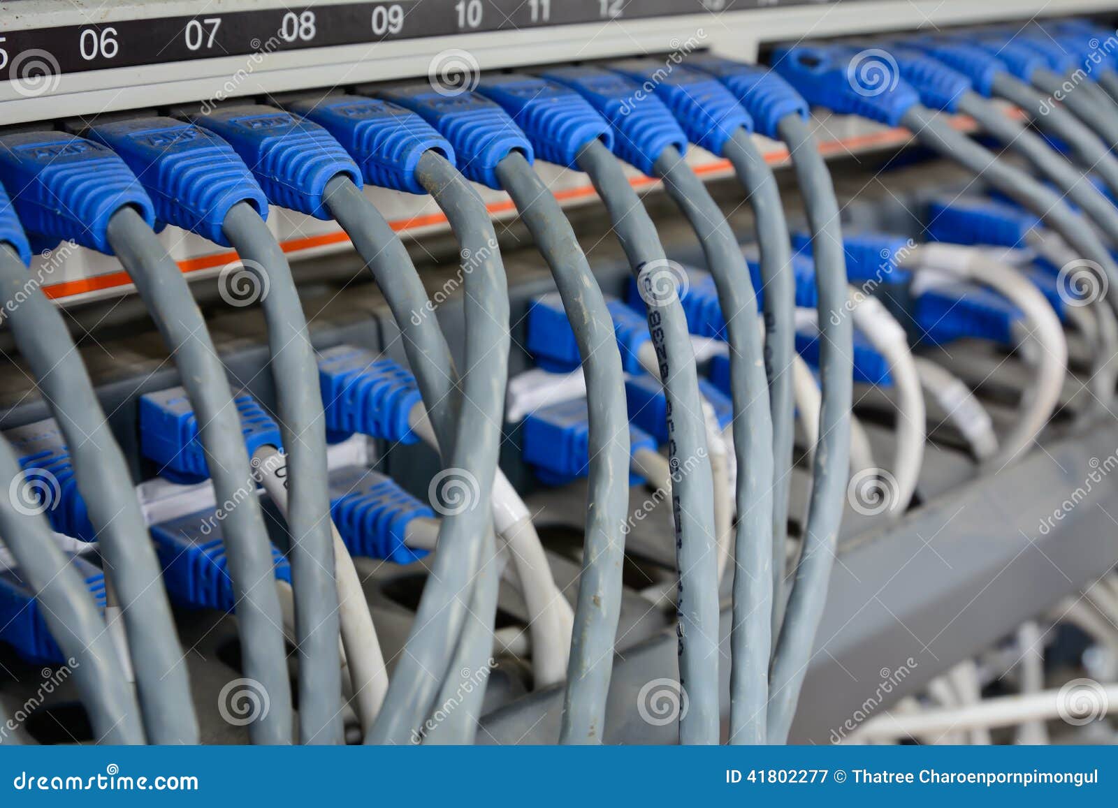 Ethernet Cables Connected To Computer Internet Server Stock Image ...