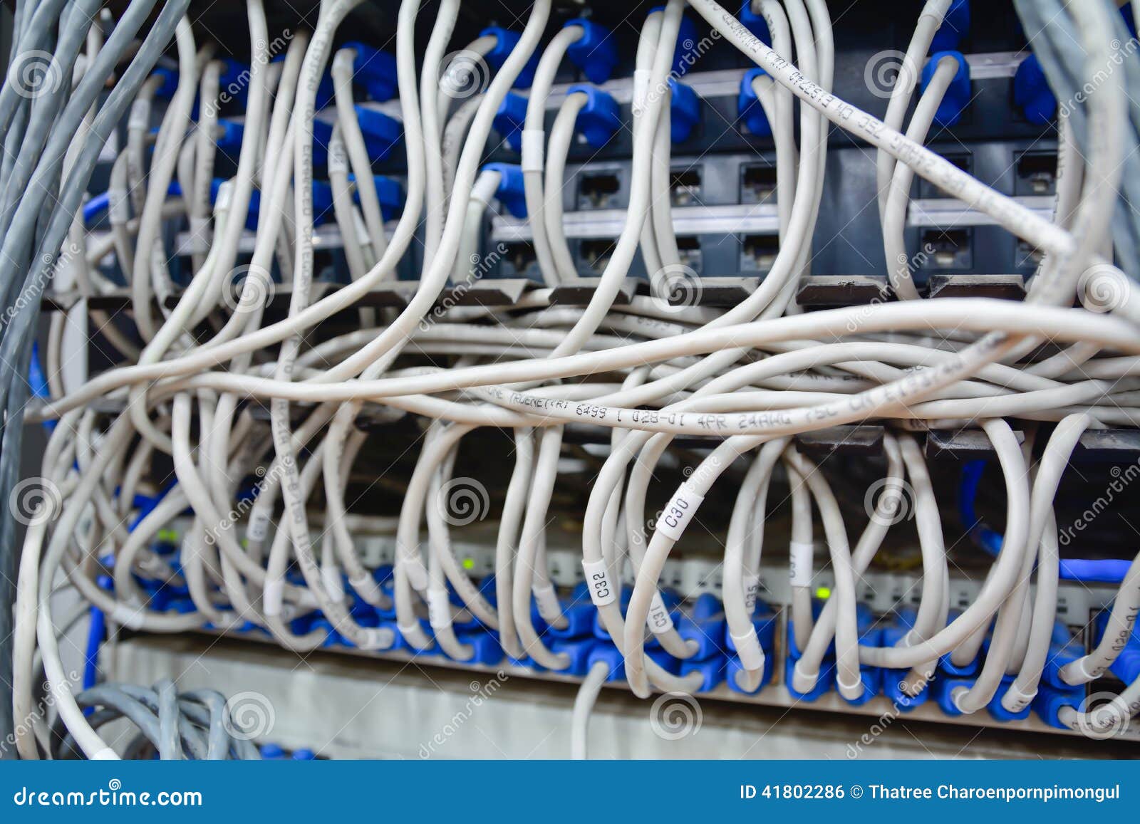 Ethernet Cables Connected To Computer Internet Server Stock Photo ...