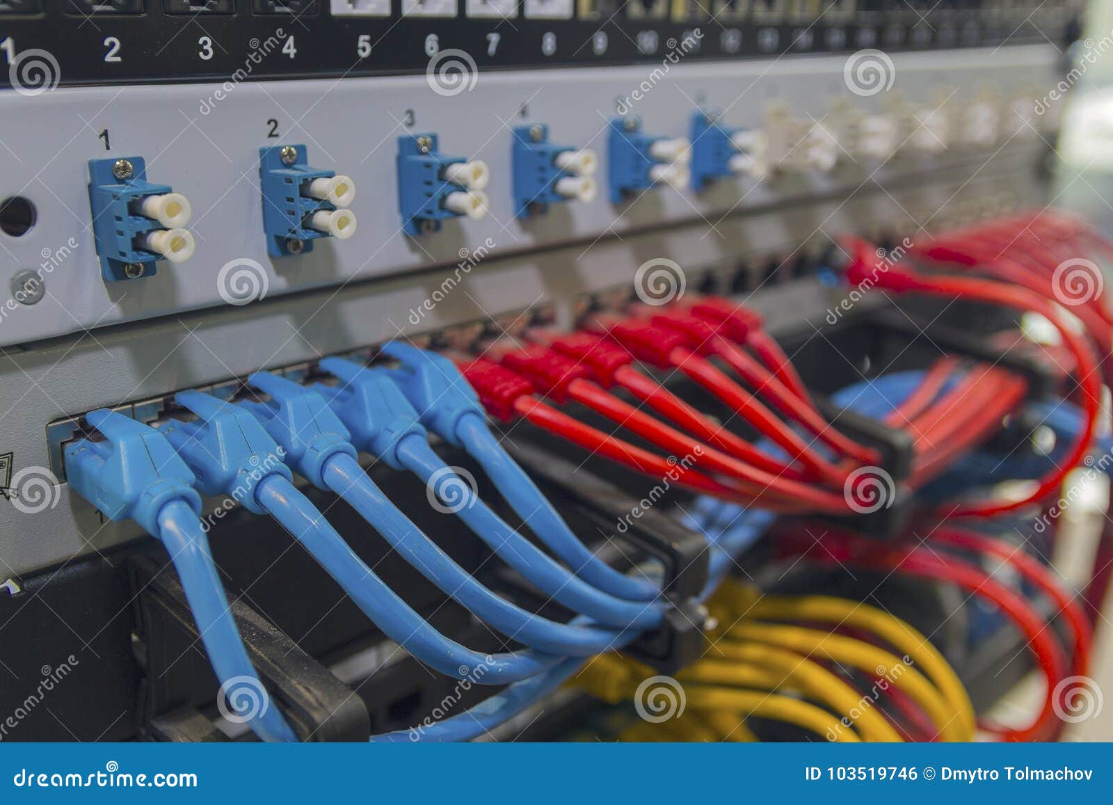 Ethernet Cables Connected To the Internet Switch Stock Photo - Image of ...