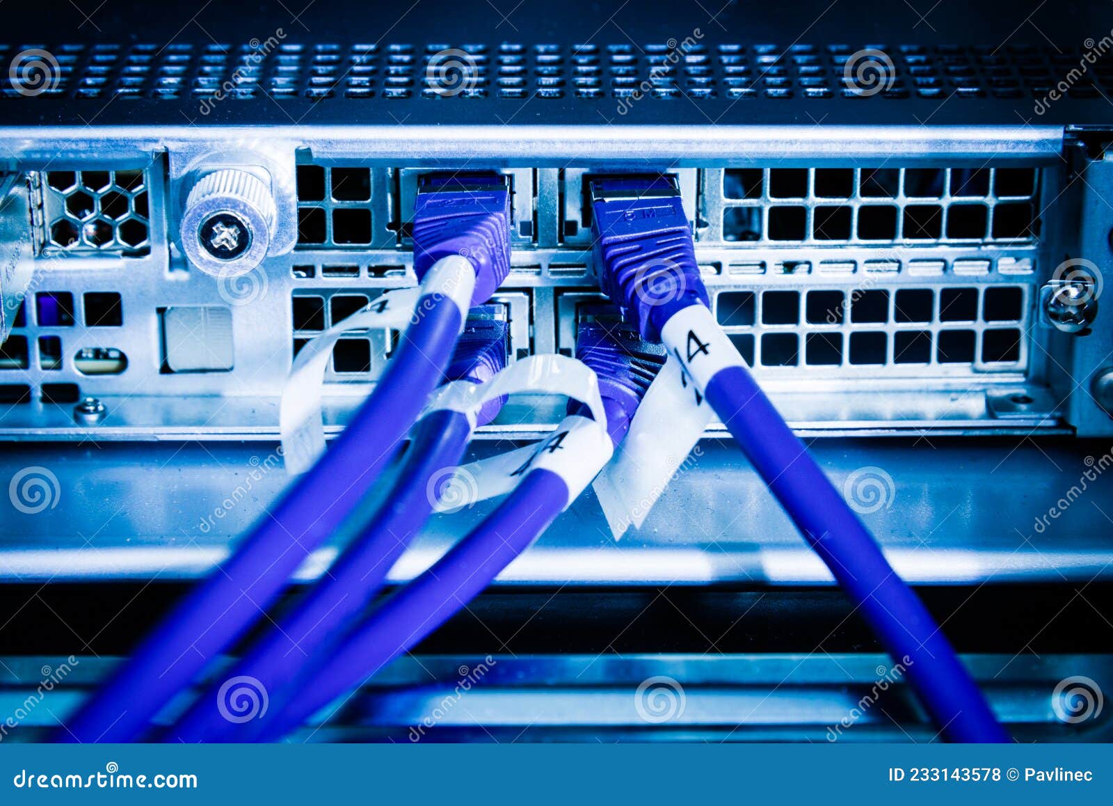 Ethernet Cables Connected To Server Switch Stock Photo - Image of ...