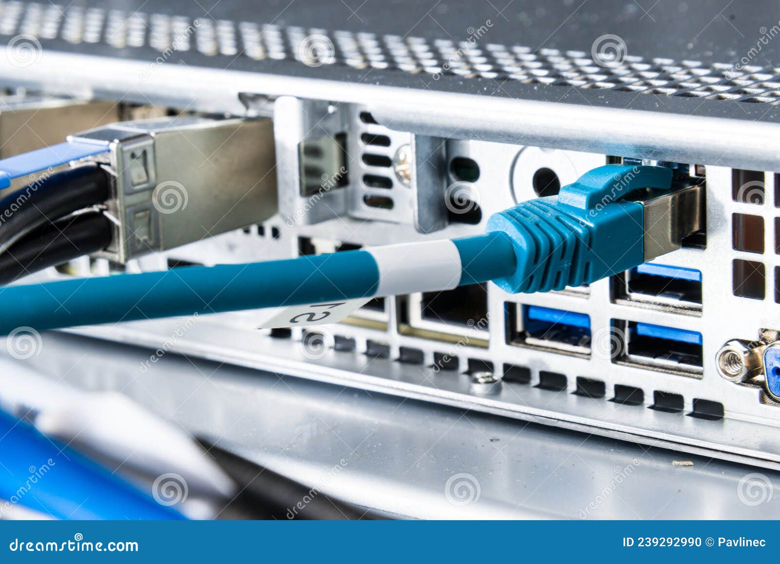 Ethernet Cables Connected To Server Switch Stock Photo - Image of plug ...