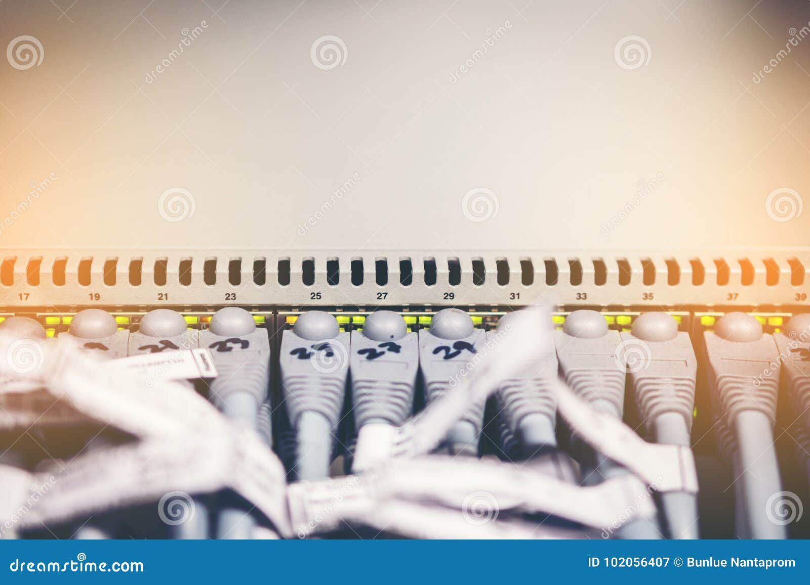 Ethernet Cables with Grey and White Color Connector Plug in To E Stock ...