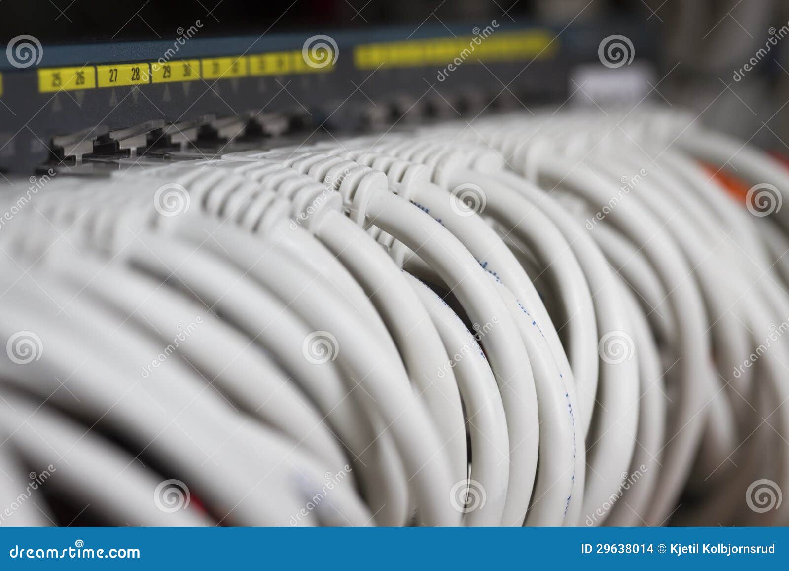 Ethernet Cables in Network Switch Stock Photo - Image of gray, center ...
