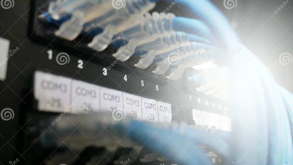 Network Cables and Path Panel in Rack Stock Photo - Image of connection ...