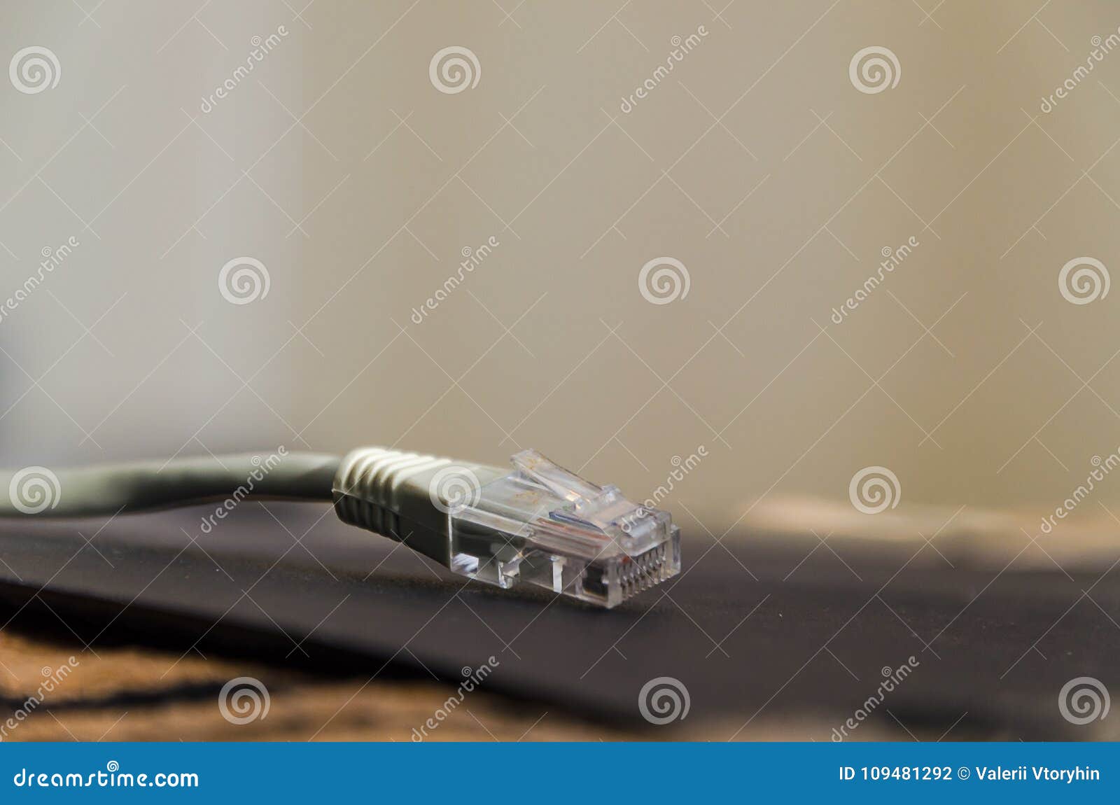 Ethernet Cables Plugged in stock photo. Image of connect - 109481292