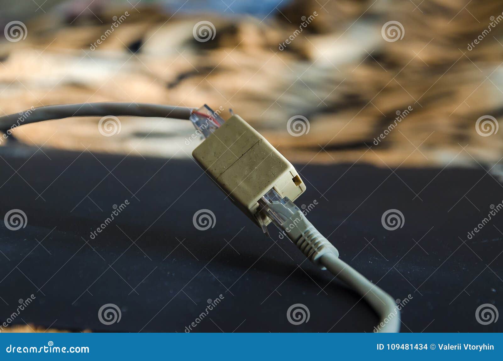 Ethernet Cables Plugged in stock photo. Image of electrical - 109481434