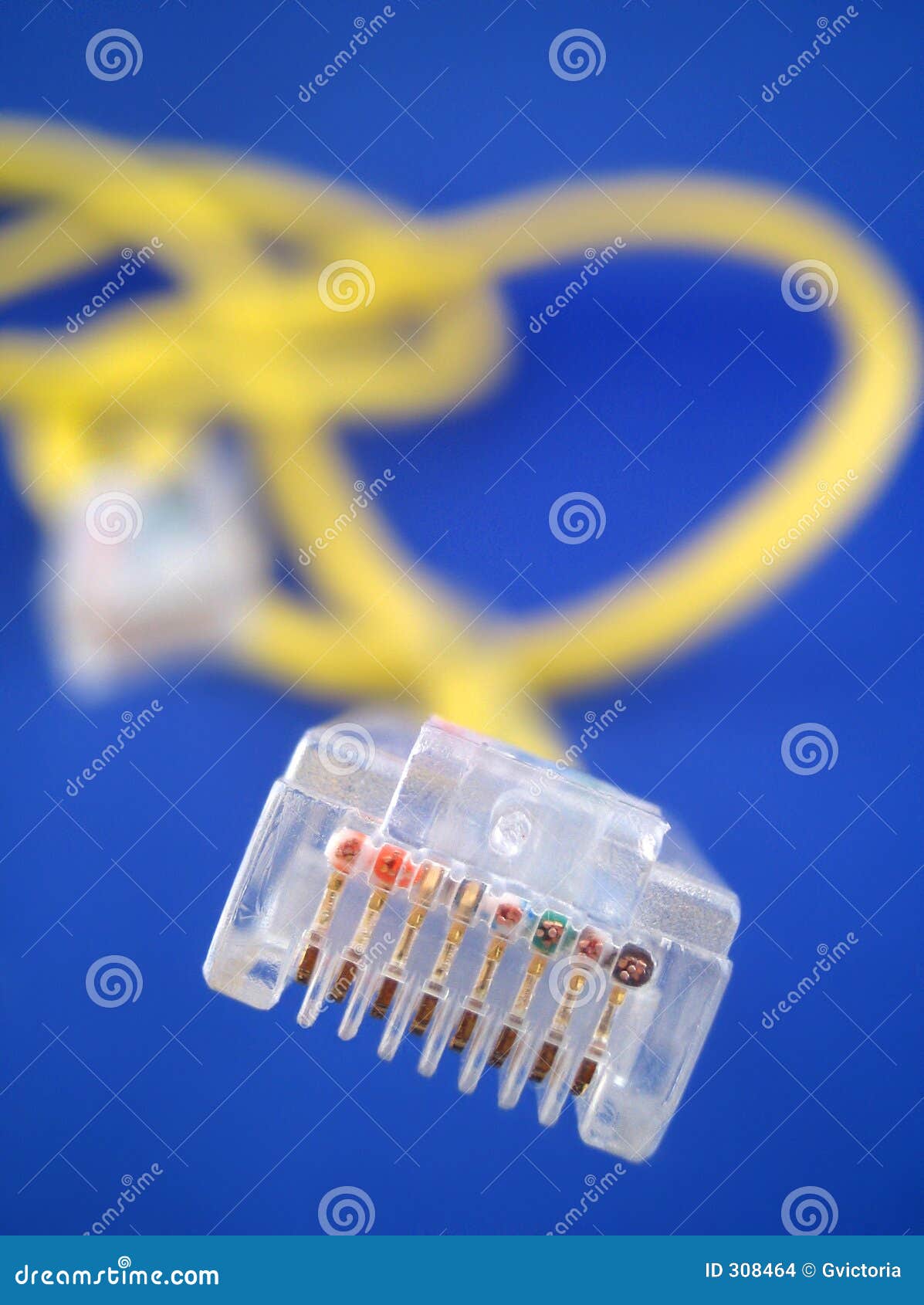 Ethernet plug stock photo. Image of laptop, jack, connector - 308464