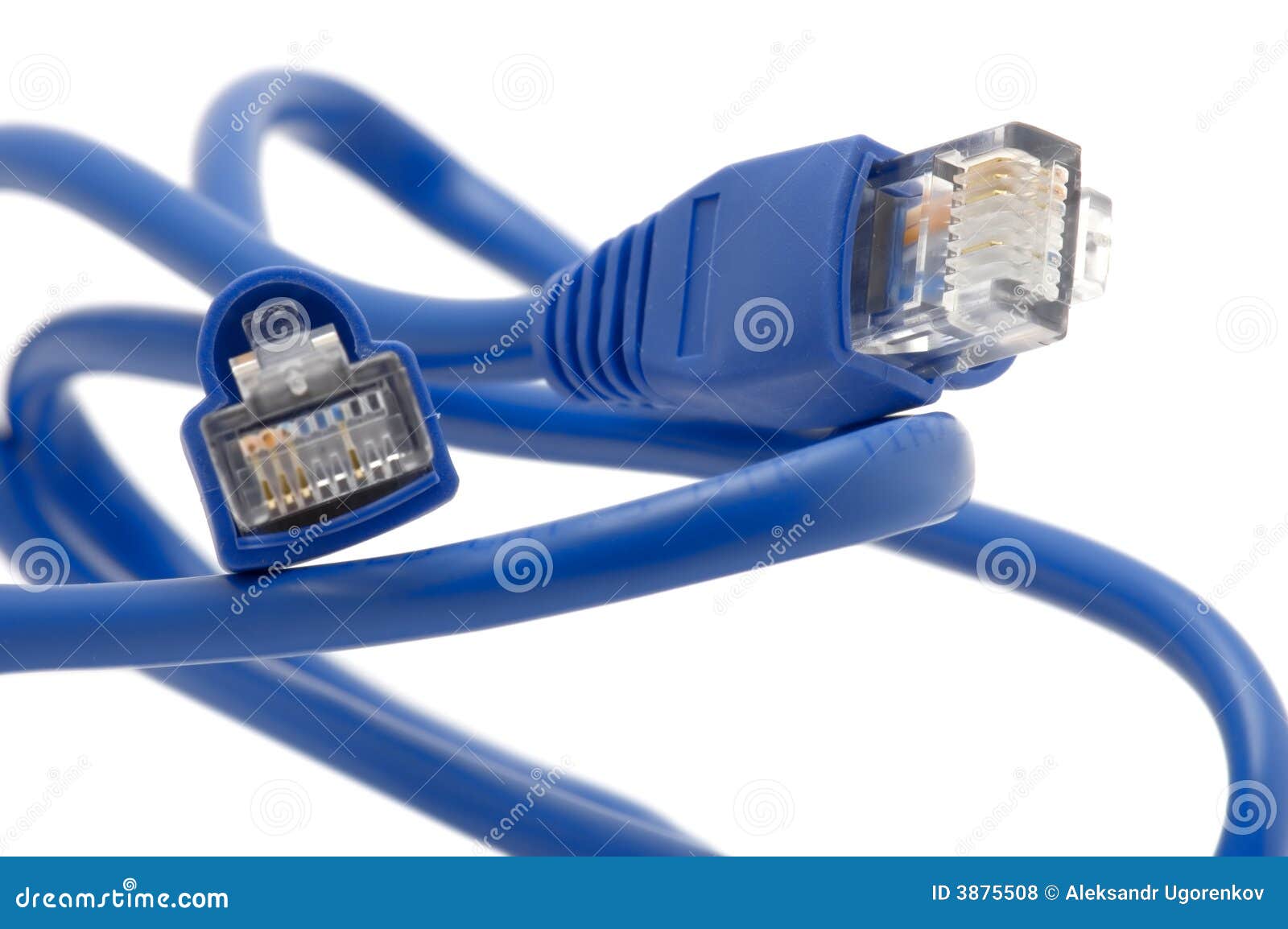 Ethernet plug stock photo. Image of network, computers - 3875508