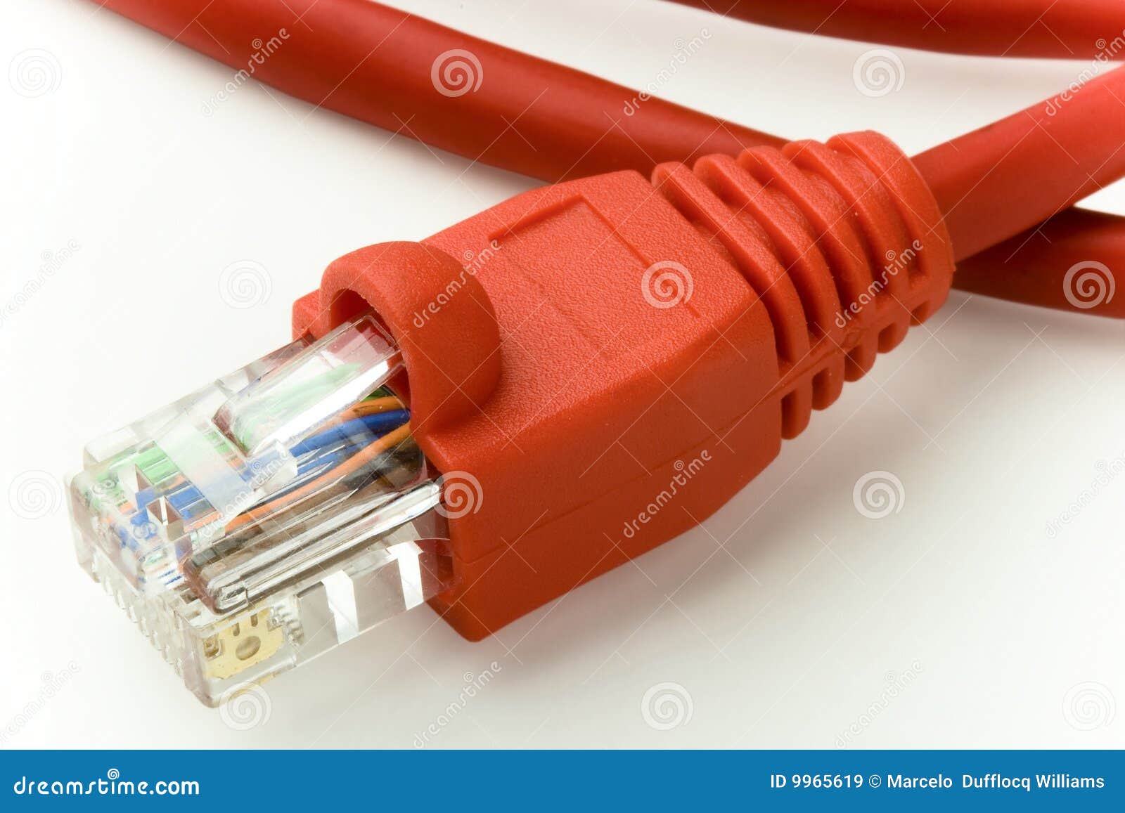 Ethernet plug stock image. Image of communication, concept - 9965619