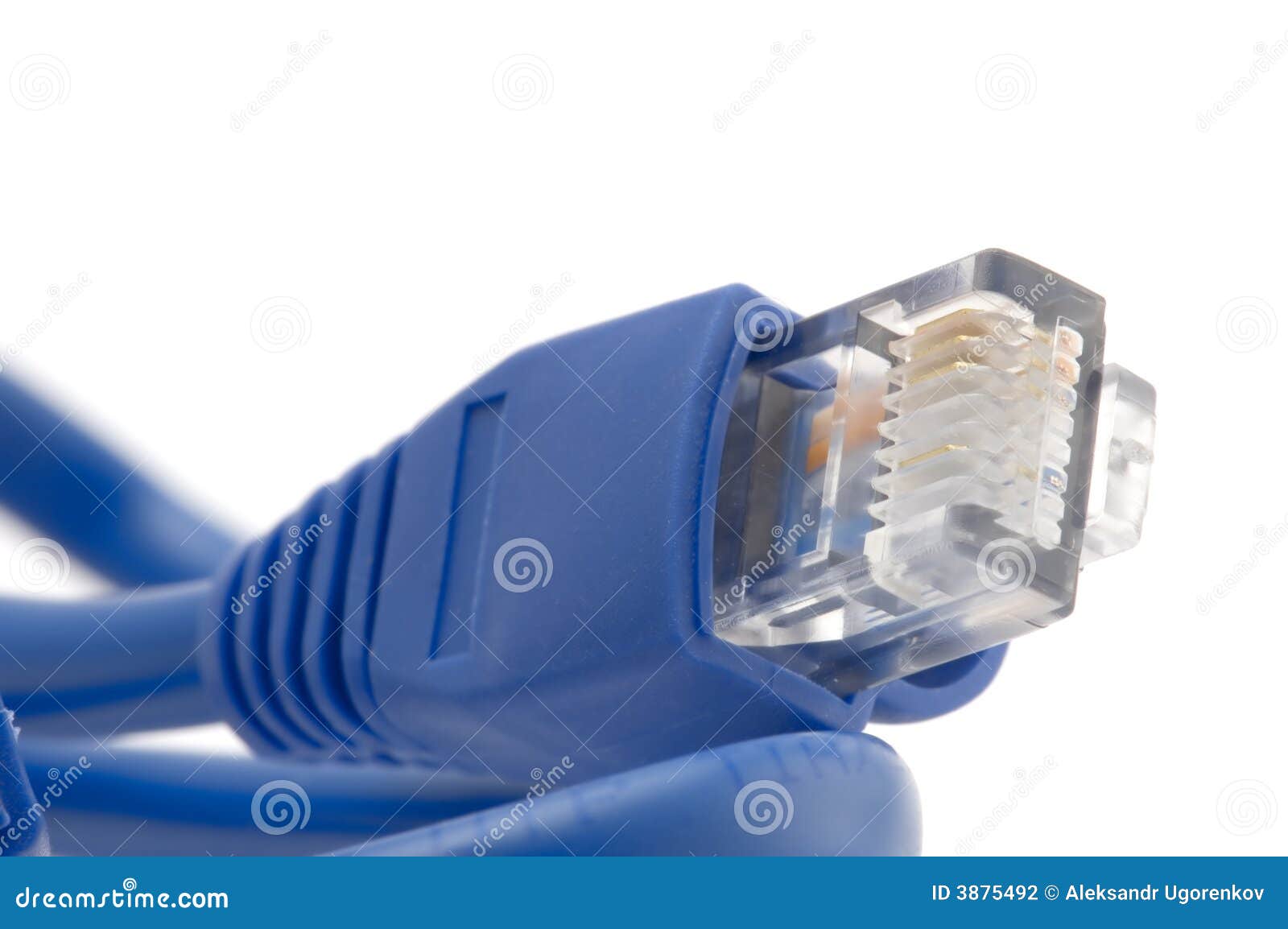 Ethernet plug macro stock photo. Image of cables, jack - 3875492